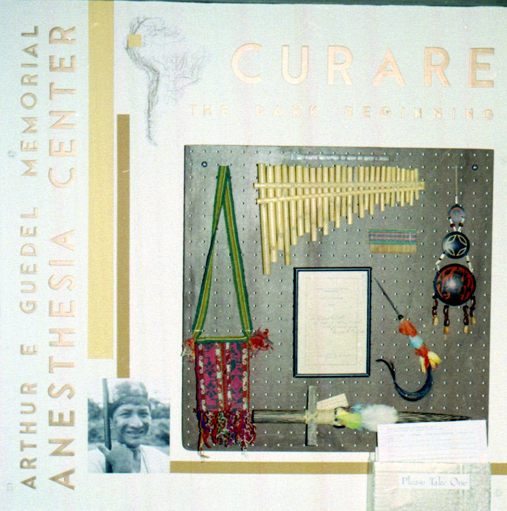 Curare: The Dark Beginning [5] — Calisphere