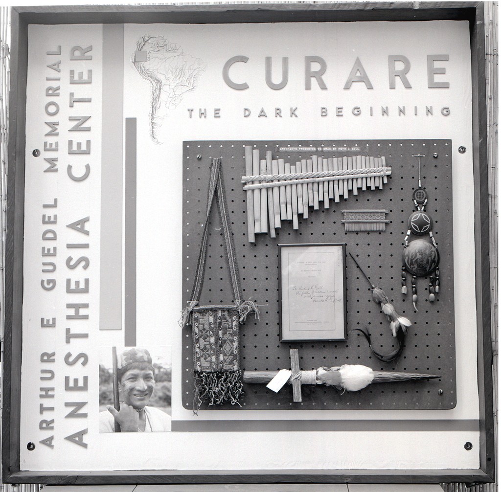 Curare: The Dark Beginning — Calisphere