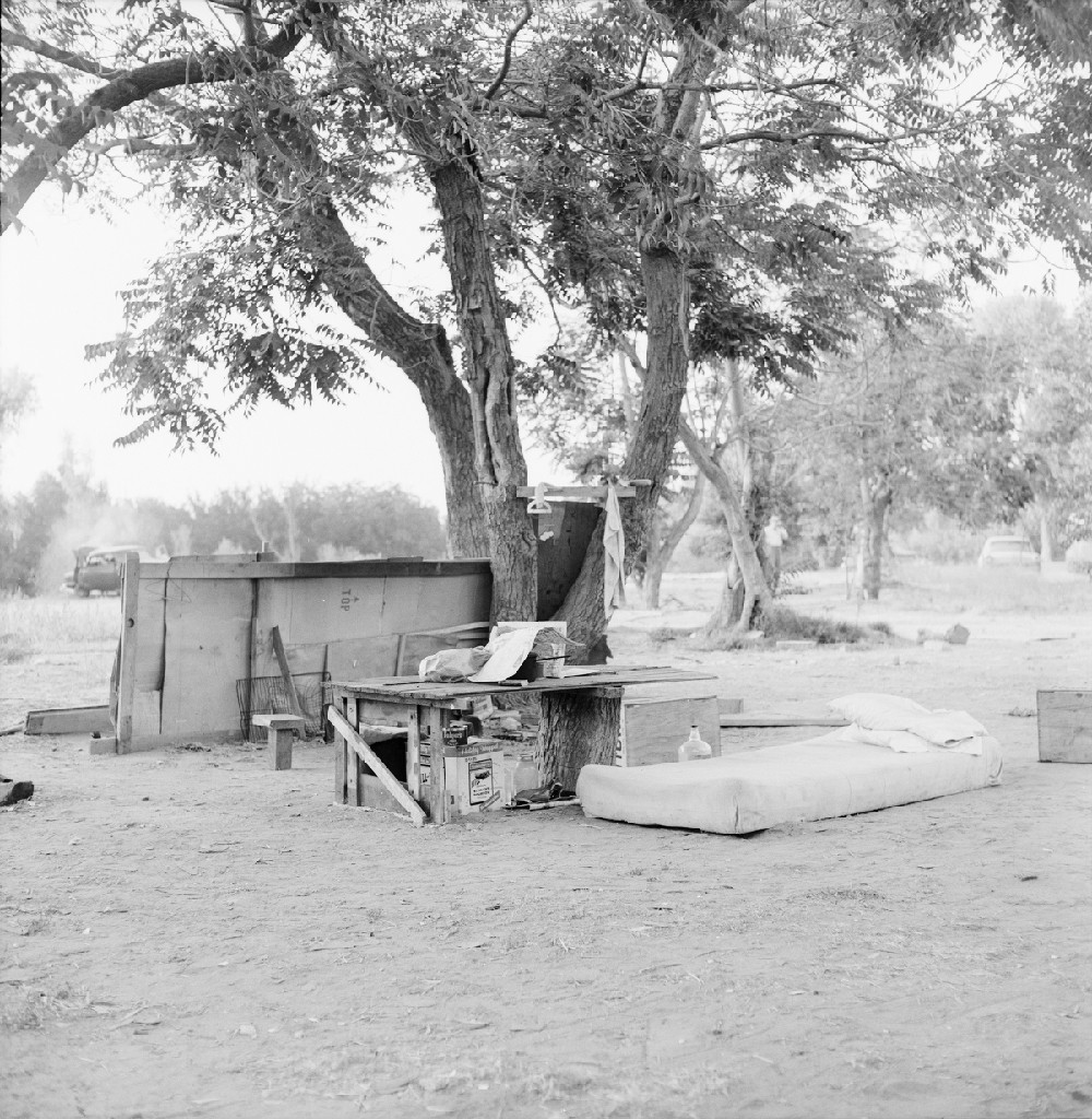 Bed under tree — Calisphere