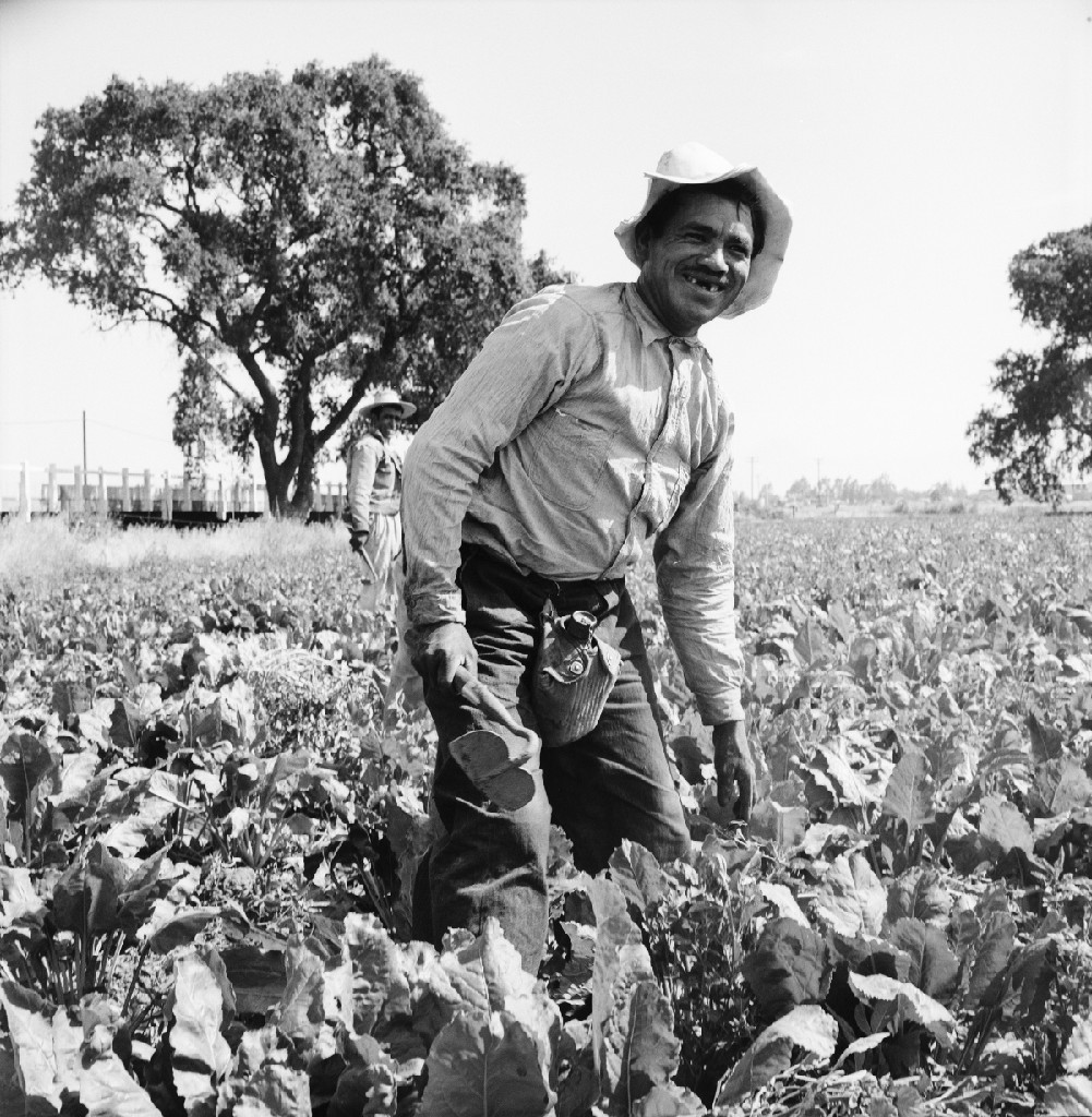 Bracero — Calisphere