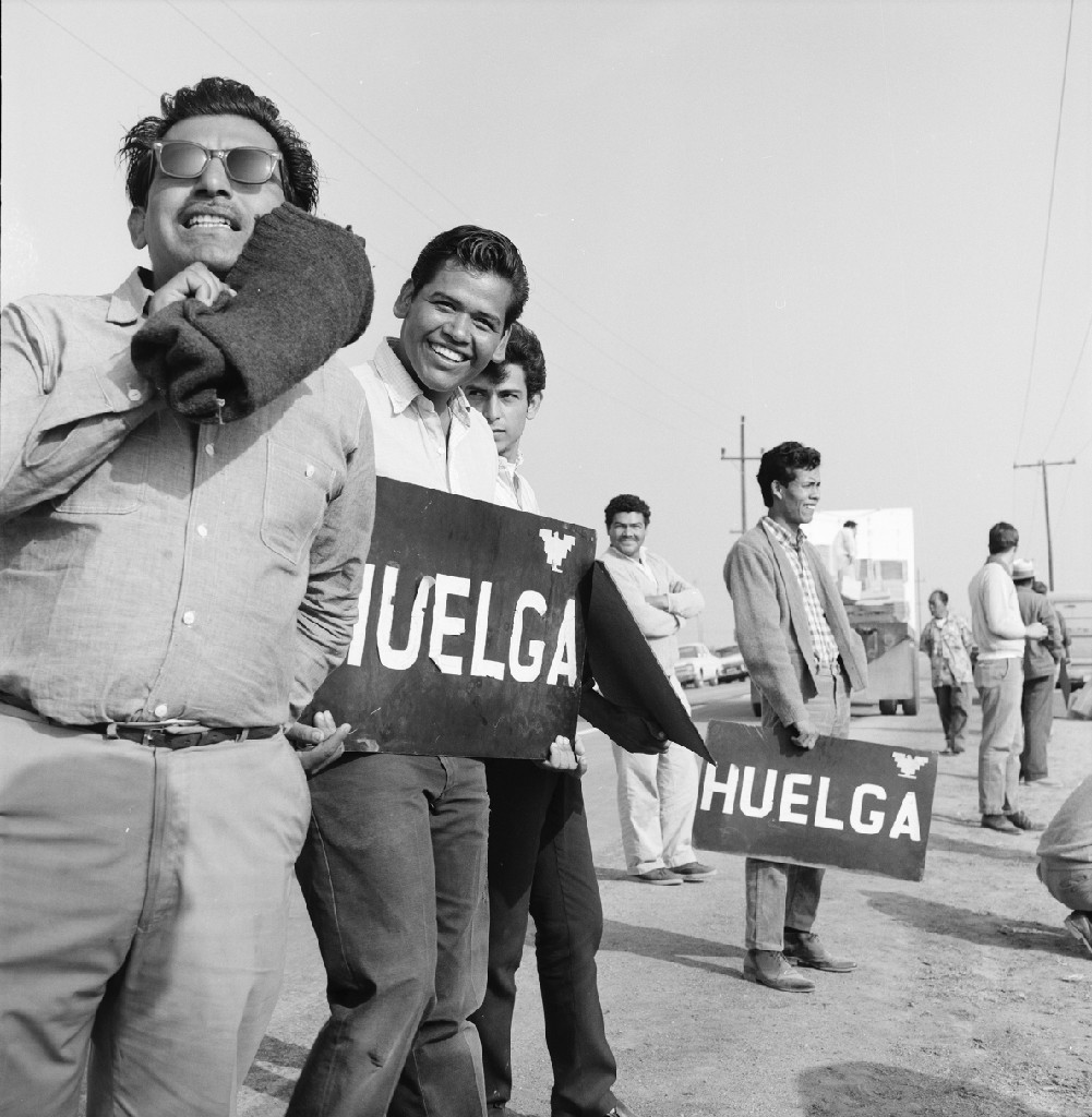 Picket line with "Huelga" signs — Calisphere