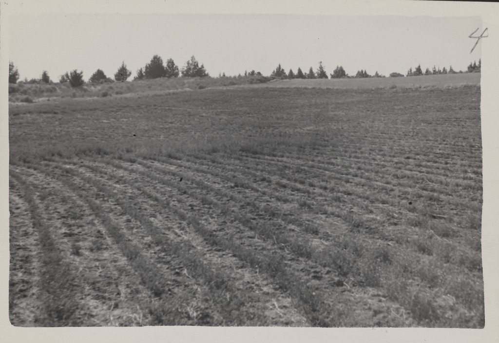 [Worked field] — Calisphere