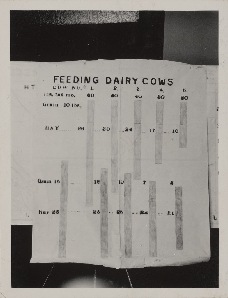 [Dairy cow feeding chart] — Calisphere