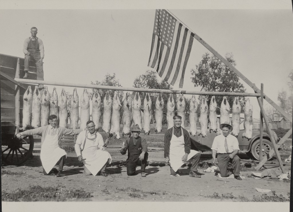 [Men pose in front of hanging pigs] — Calisphere