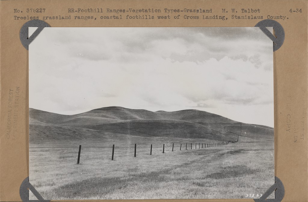 Treeless grassland ranges, coastal foothills west of Crows Landing ...