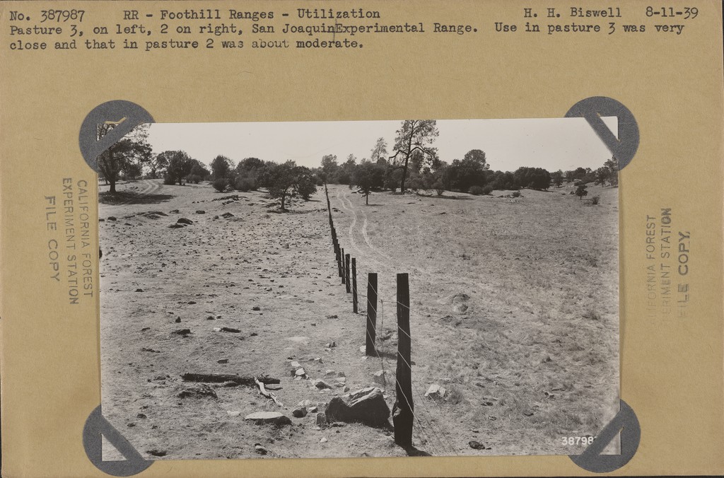 Pasture 3, on left and Pasture 2 on right — Calisphere