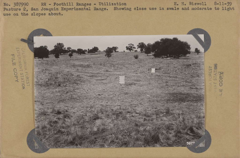 Pasture 2, swale use — Calisphere
