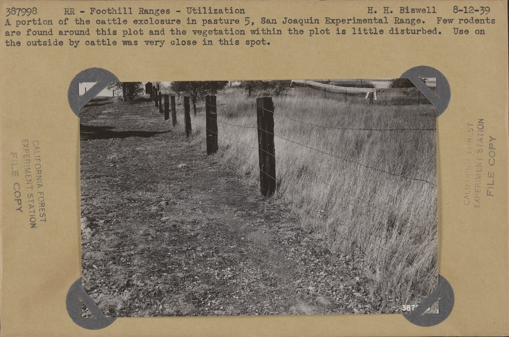 A portion of the cattle exclosure in pasture 5 — Calisphere