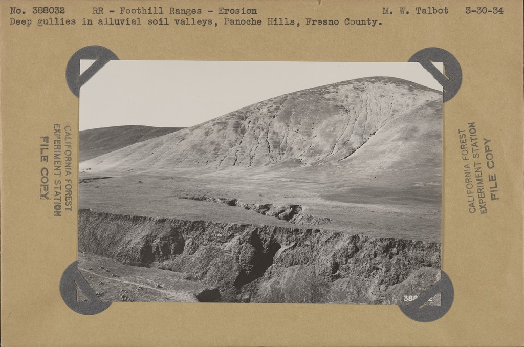Deep gullies in alluvival soil valleys, Panoche Hills, Fresno County ...