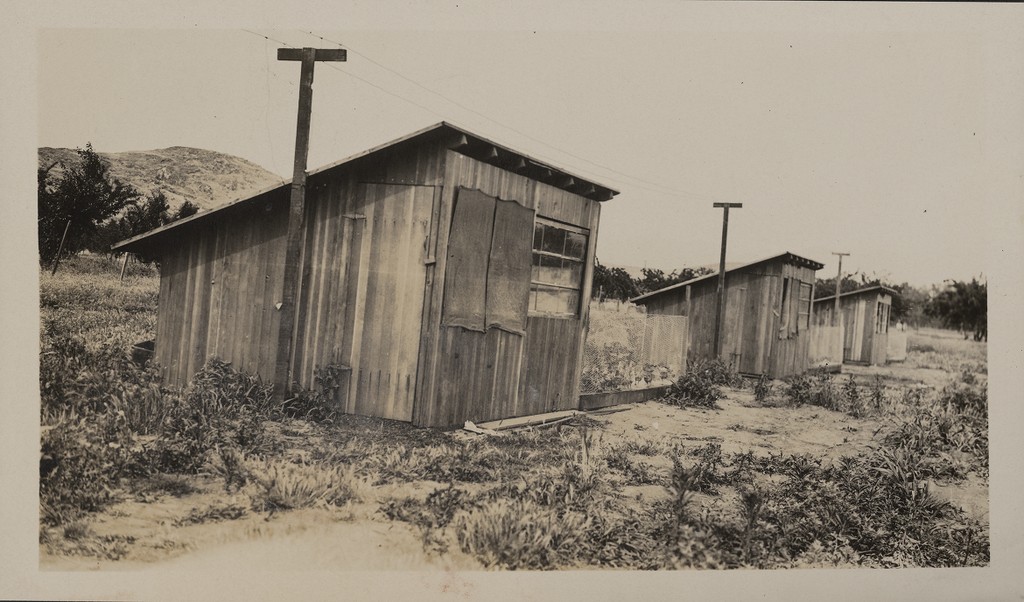 [Three small wooden structures lined up in a row] — Calisphere