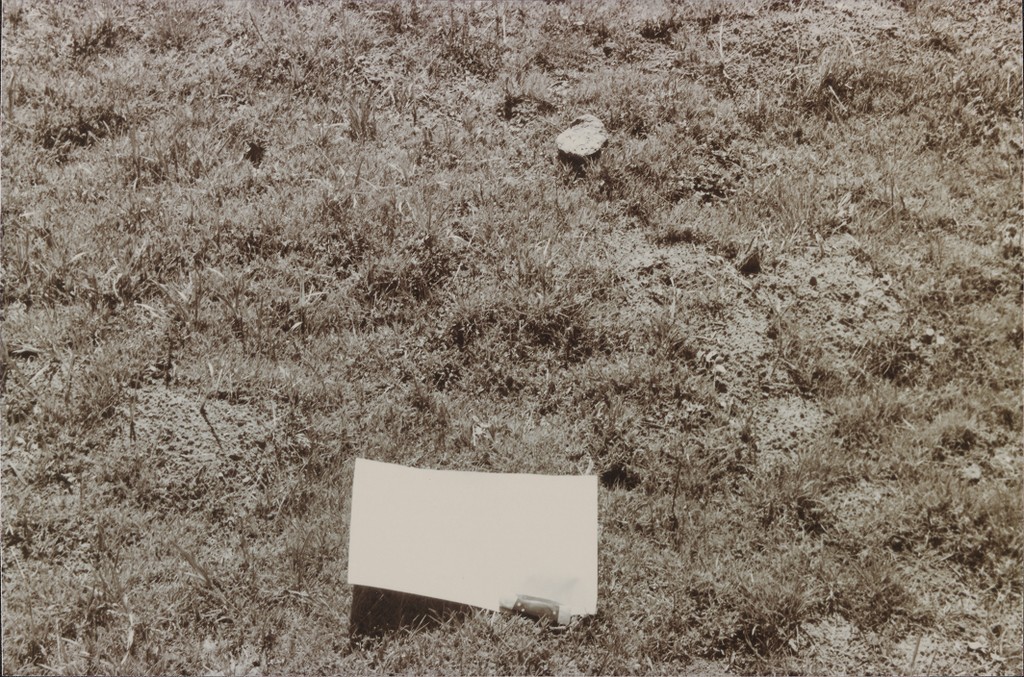 [Sheet of paper on grassland] — Calisphere