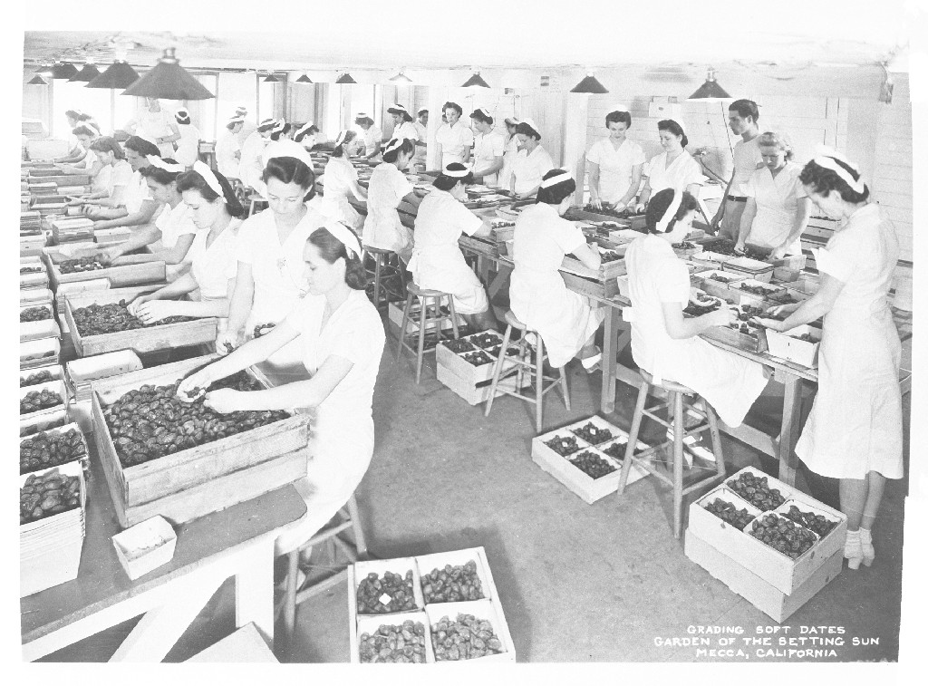 Packing house workers — Calisphere